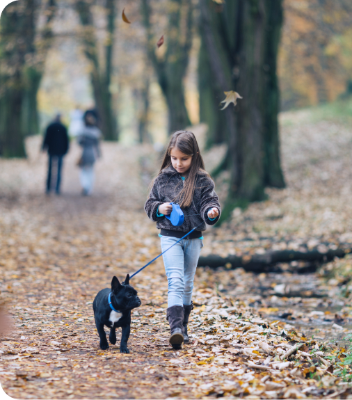 Cellular IoT Connectivity Solutions | Zipit Wireless